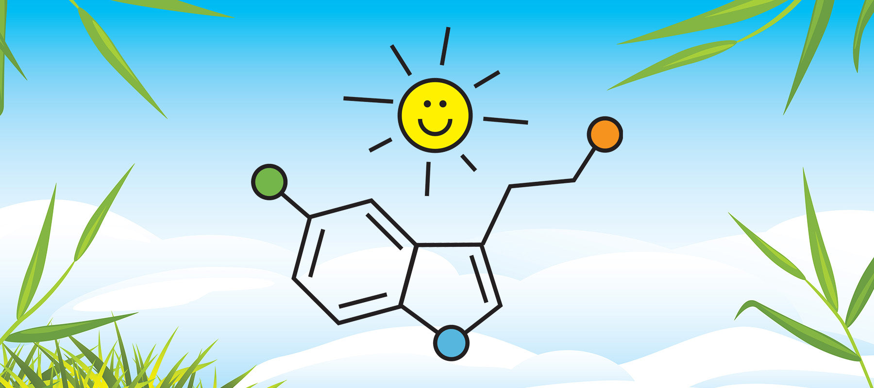 The Ultimate Guide to 5-HTP - Lifetropics