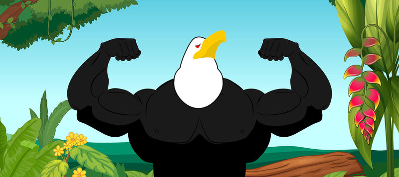 The Ultimate Guide to Long Jack Tongkat Ali - Lifetropics